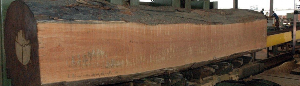 Hardwood